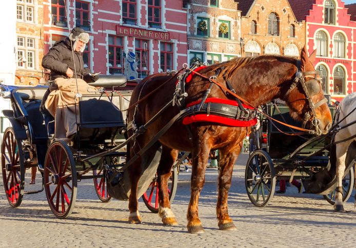 Brugge in rouw na overlijden bekende stadskoetsier Peter (60): “Hij was ...