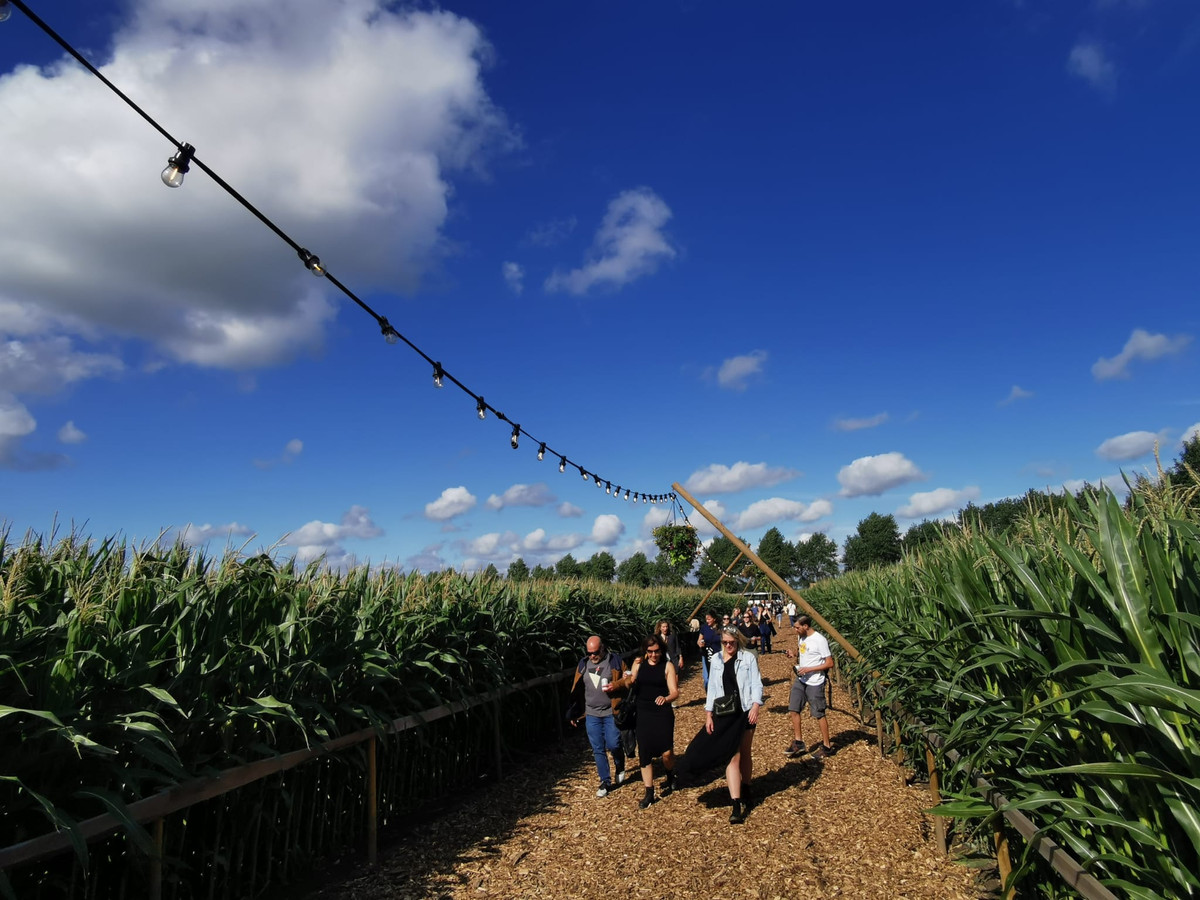 IN BEELD. Campo Solar in Damme start onder stralende zon | Foto | hln.be