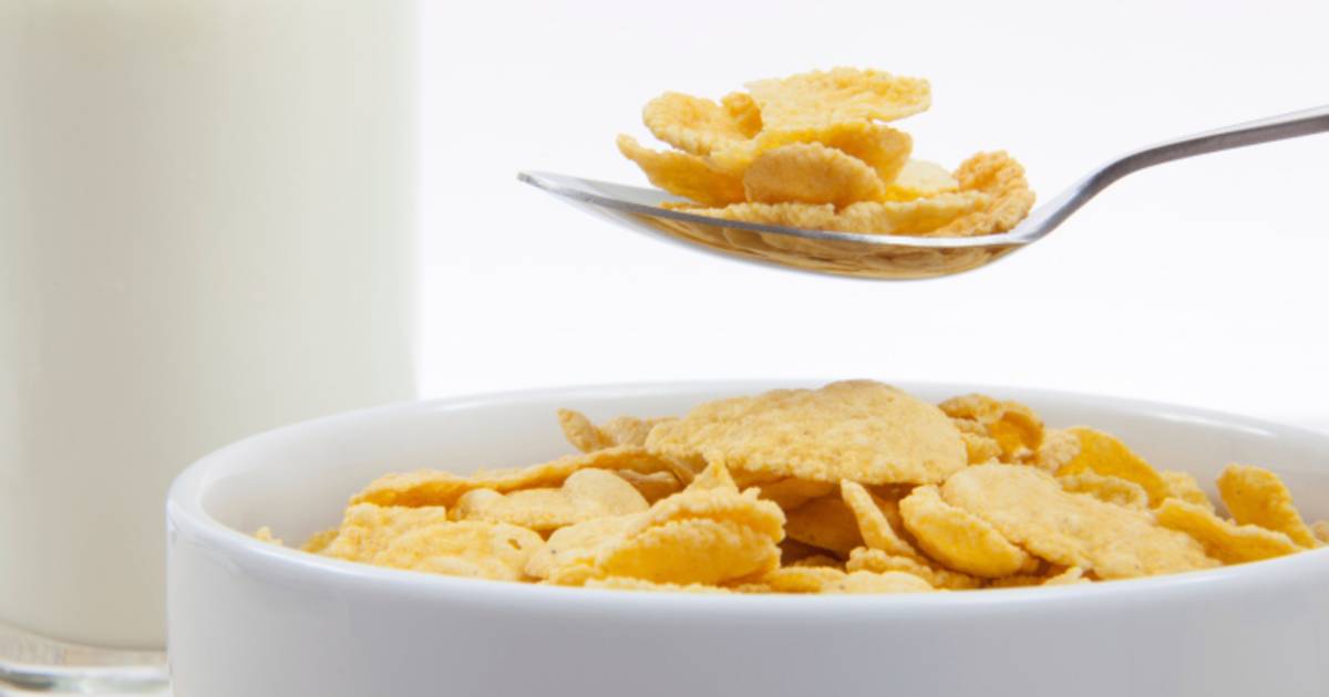 Oma vindt dode muis in cornflakes van kleinzoon | Bizar | hln.be