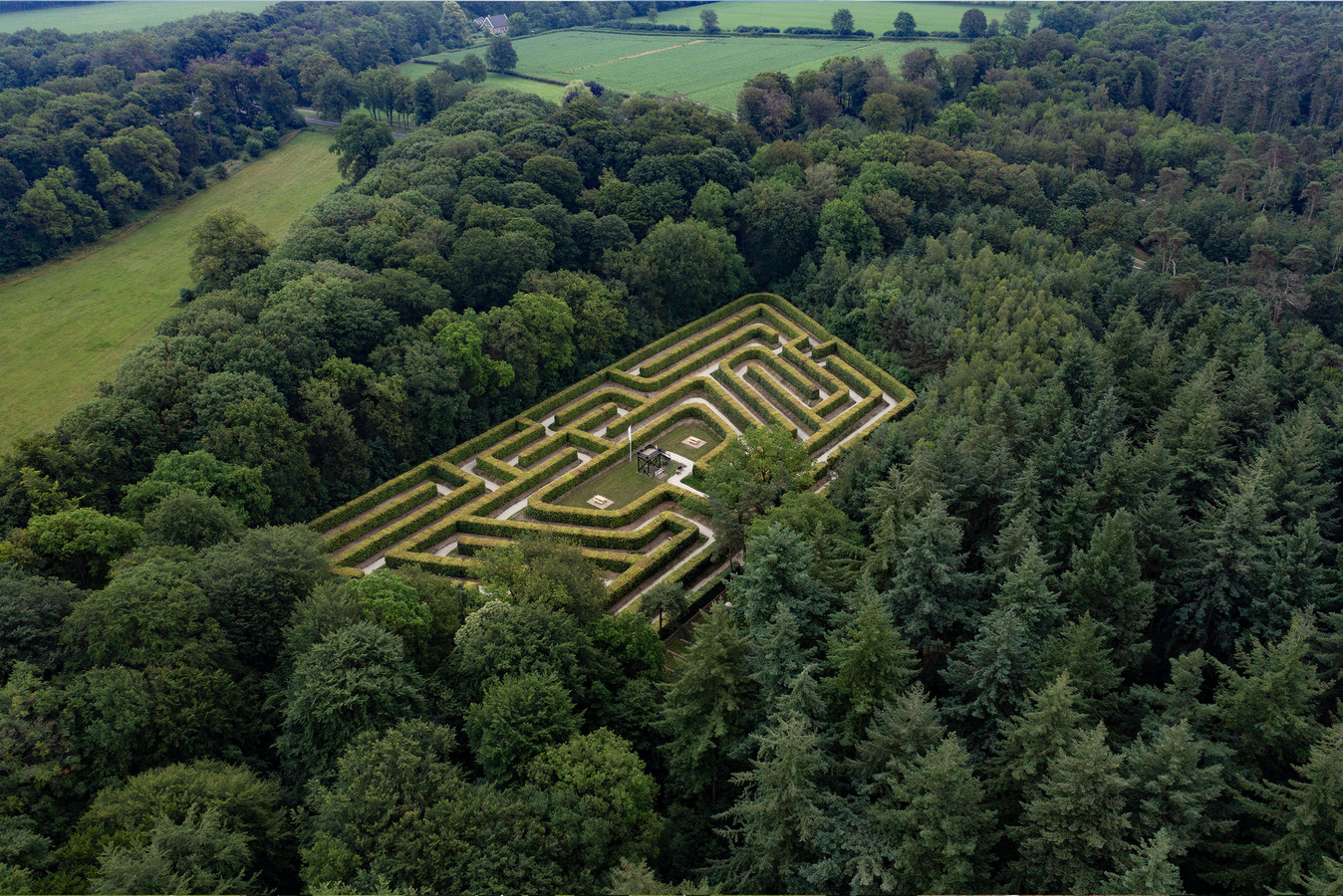Ruurlo heeft het grootste doolhof van Europa (en ondanks de droogte is ...