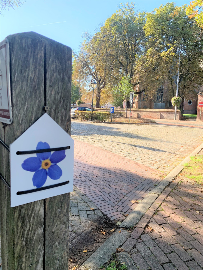 Dementievriendelijke wandeling in Gierle | Foto | hln.be