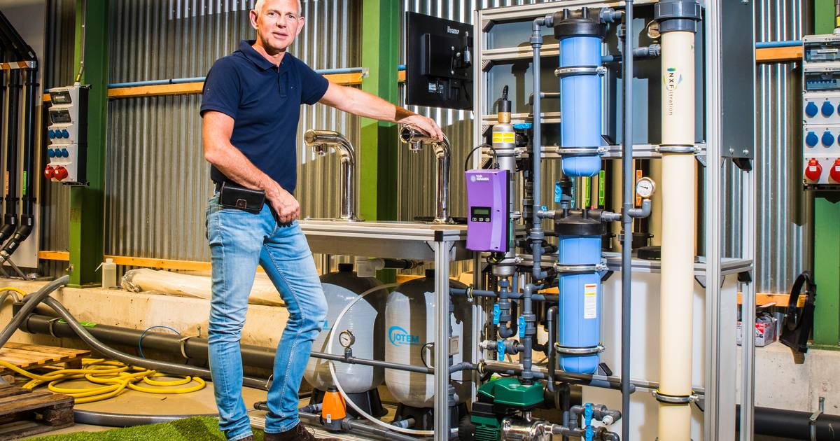 Saxion-prof Futselaar: ‘Twentse beken overgevoelig voor vervuiling door ...