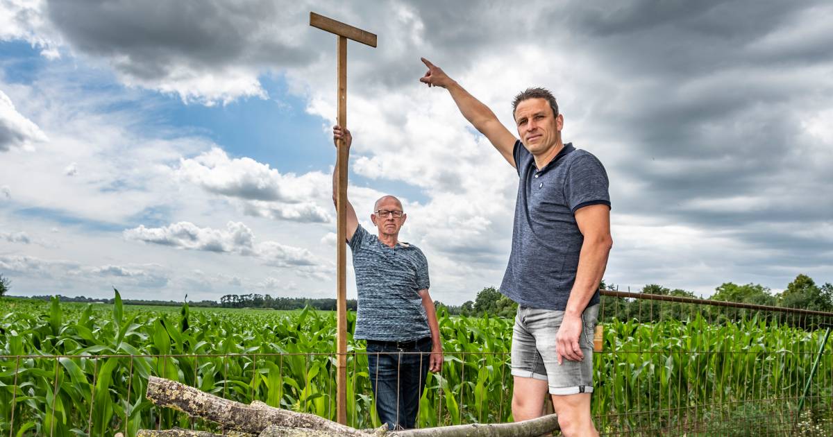 Omwonenden willen streep door zonneparken Diessen en Haghorst: ‘Ze zijn ...