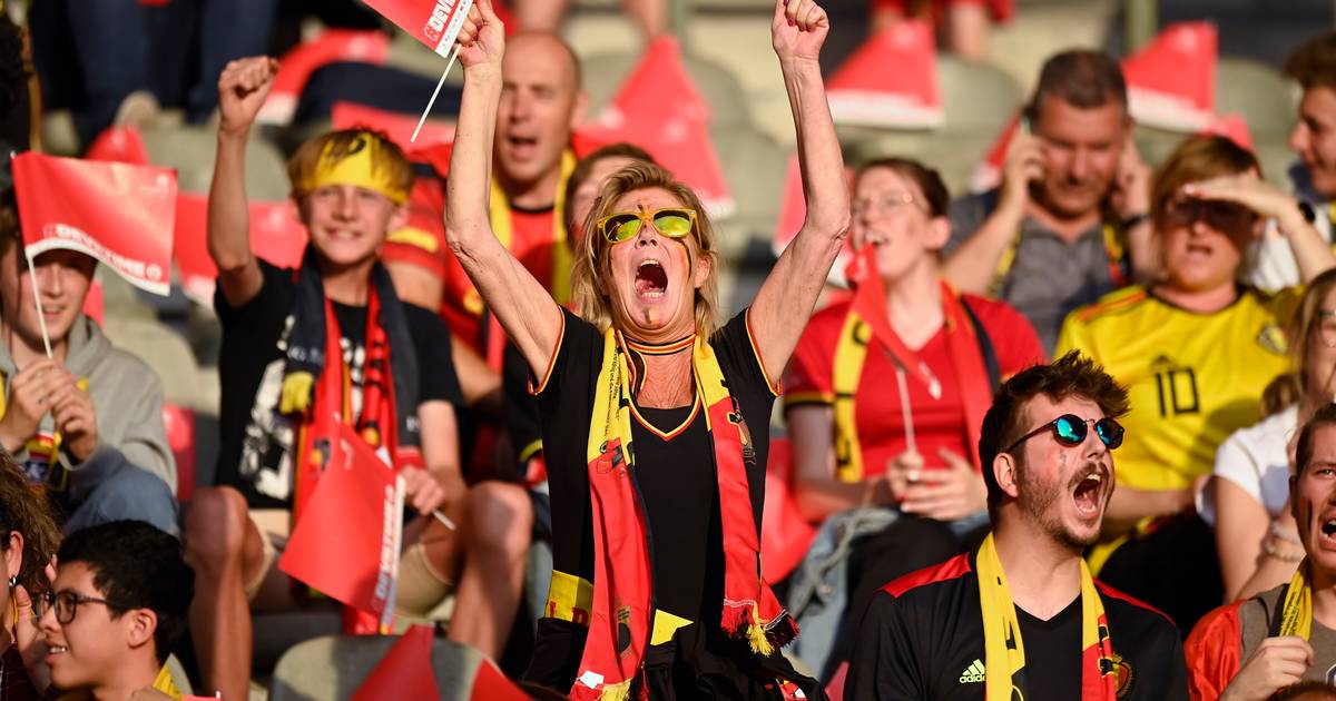 Niel lanceert samen met handelaars gratis WK-pronospel | Niel | hln.be