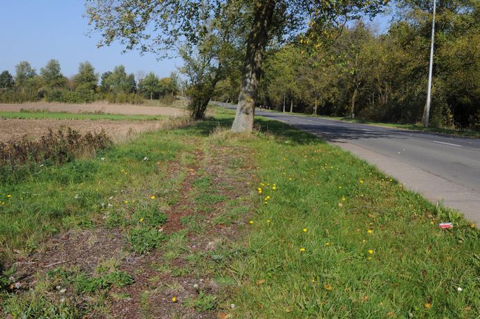 Looppiste compleet overwoekerd | Zulte | hln.be