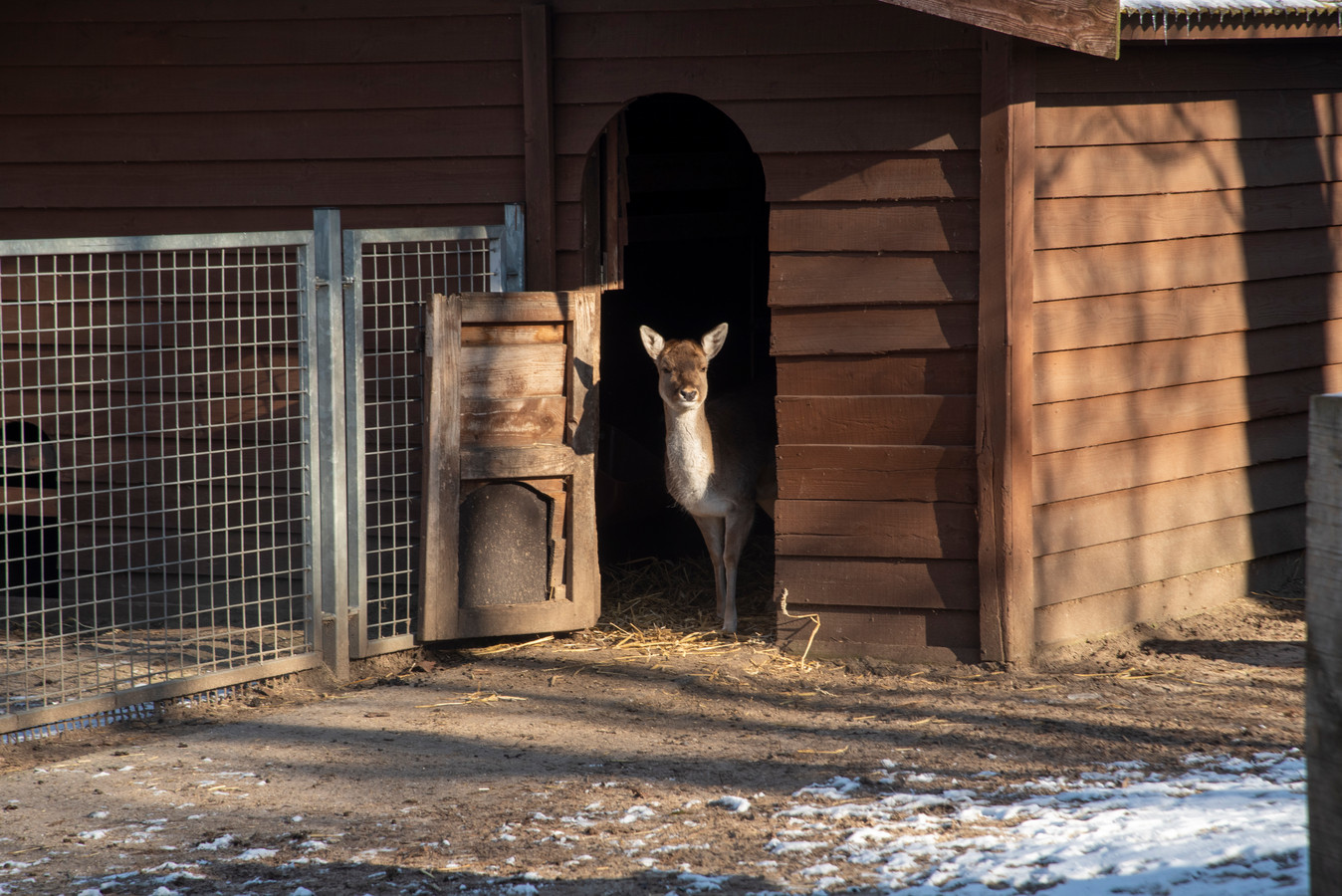 Rustige start in Familiepark Harry Malter: “Lang genoeg binnen gezeten ...