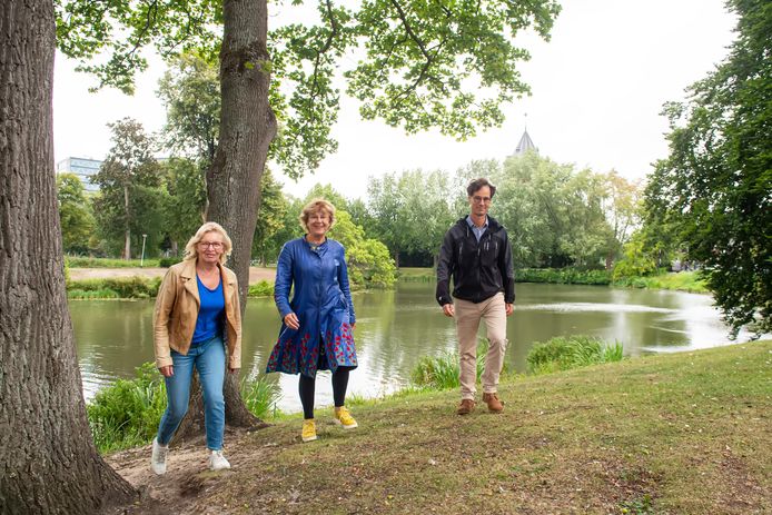 Bredaas park verliest zijn glans: ‘Het is vuil en overal schiet onkruid ...