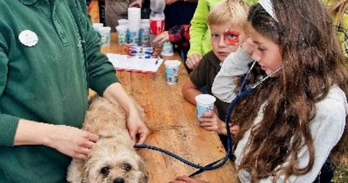 Kinderen leven zich uit tijdens jeugdvakantieweek | Tilburg e.o. | bd.nl Kinderen leven zich uit tijdens jeugdvakantieweek | Tilburg e.o. | bd.nl