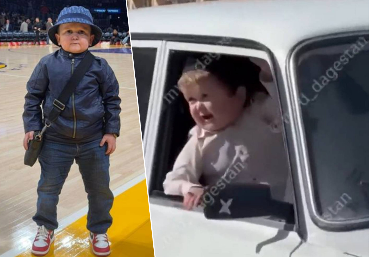 L’influenceur Hasbulla arrêté pour avoir participé à un rodéo urbain ...