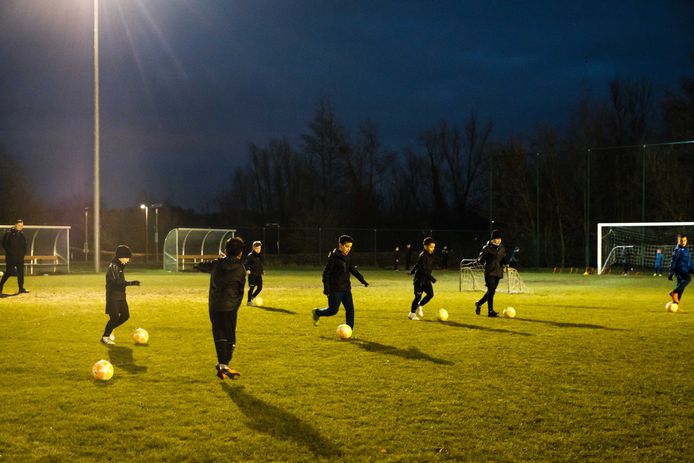 Rupel Boom hoopt op kunstgrasvelden (en samenwerking met Beerschot ...