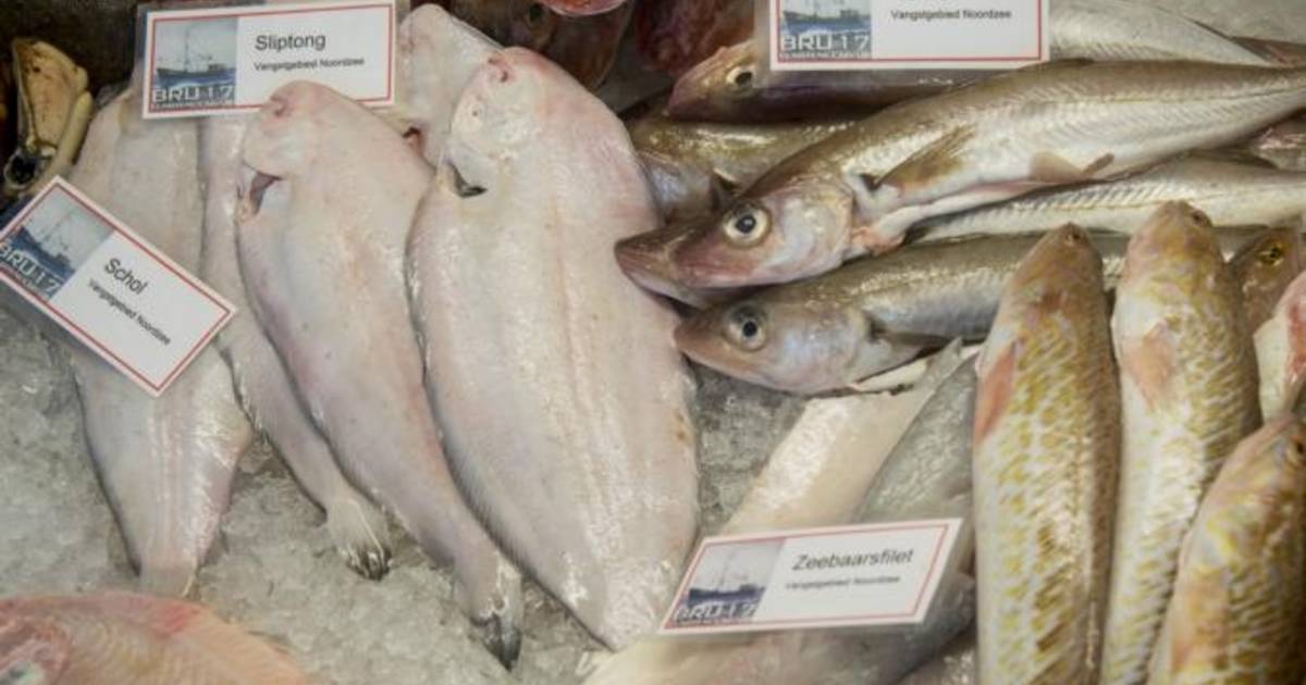 Bruinisse: Bru 17, waar de vis zelf belangrijk is | Uit Eten | pzc.nl