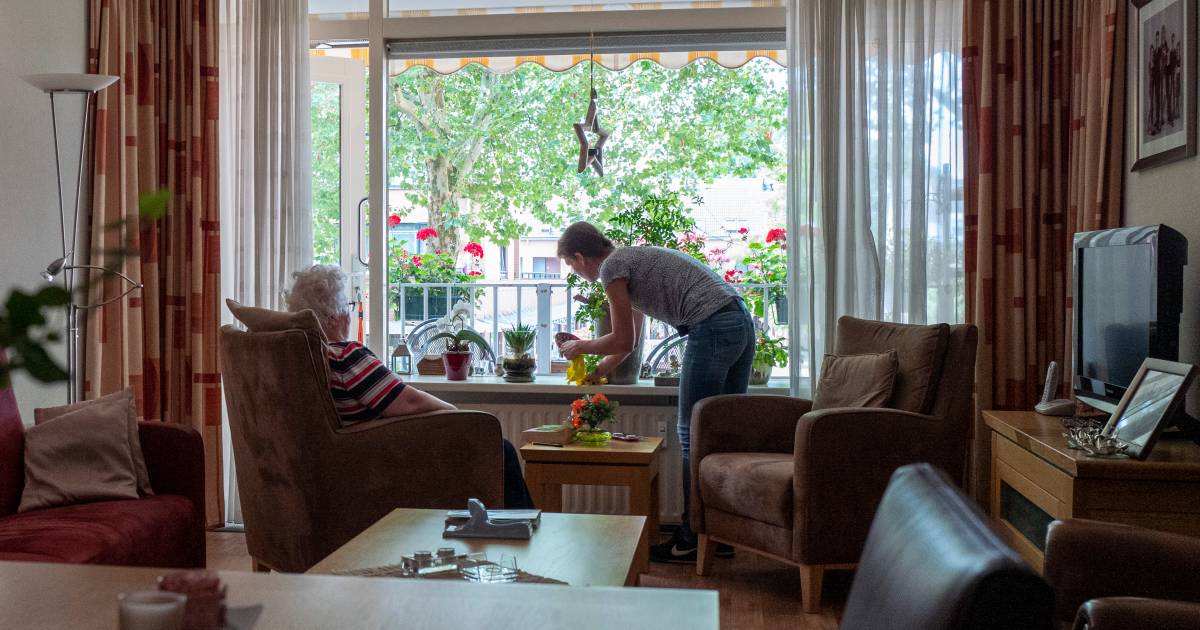 ‘Schoonmaaksubsidie’ voor ouderen met een hoog inkomen: gemeente mag ...