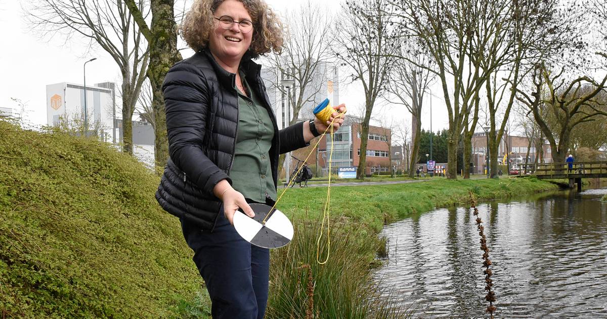 Is je sloot gezond voor vis en plant? Zo kun je dat zélf meten deze ...