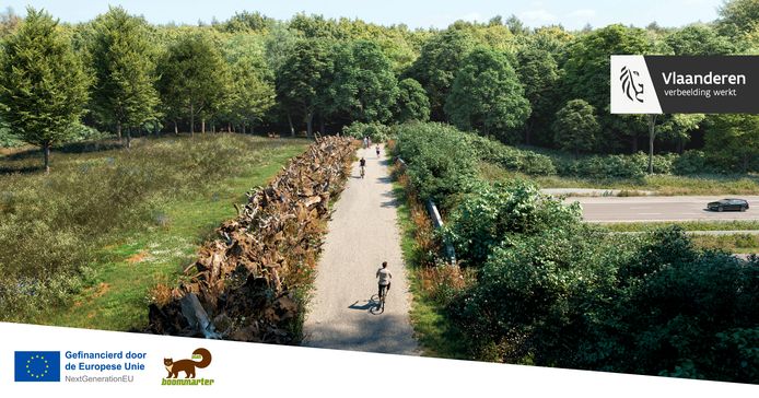 Werken voor ecoduct over R0 in Hallerbos starten in 2023 | Halle | hln.be