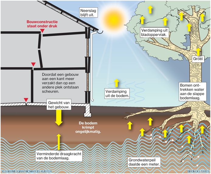 ‘Bodemdaling kan ook een mooie kans zijn voor Nederland’ | Binnenland ...