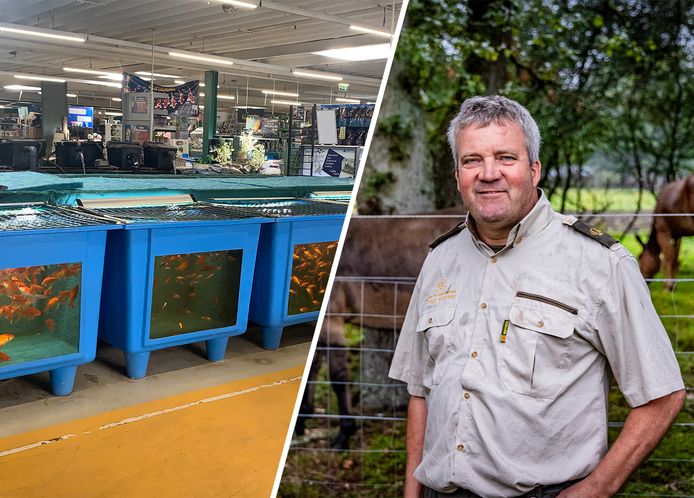 Nieuws gemist? Roy geeft smerig tuincentrum aan bij NVWA • Bijzonder ...