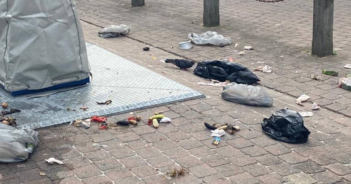 Stad Oostende maakt jaarrapport op van alle ontvangen signalen bij O ...