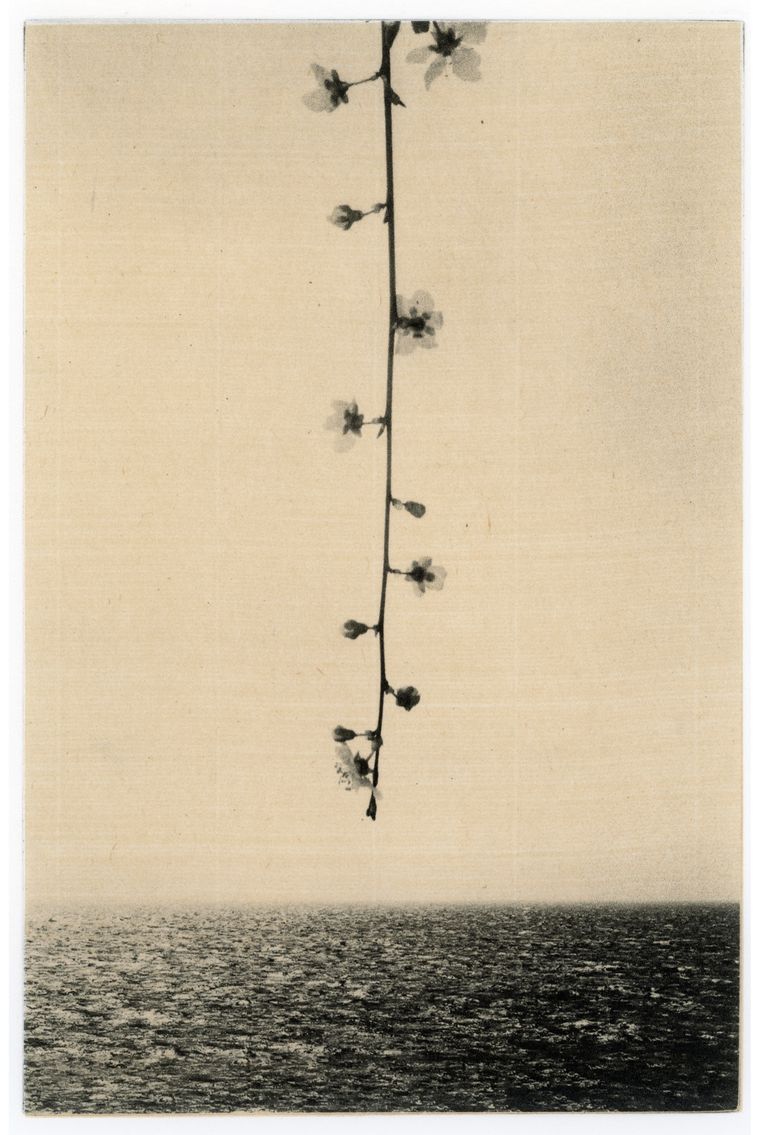 De visuele haiku’s van fotograaf Paul Cupido (50): ‘Snapshots van de ...