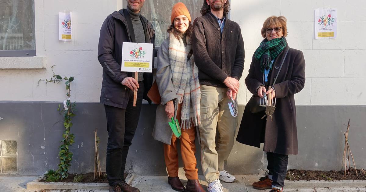 Stad Brussel zet in op vergroening van Marollen | Brussel | hln.be