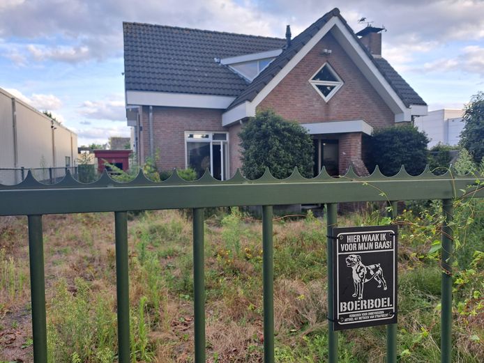 Grote politieactie in Bergen op Zoom: drie arrestaties bij inval in loods en woning, twee honden ...