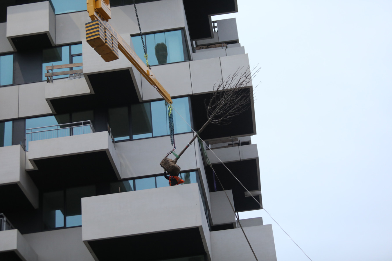 Ook op de 19e verdieping een boom voor je raam? Dat kan in de groene ...