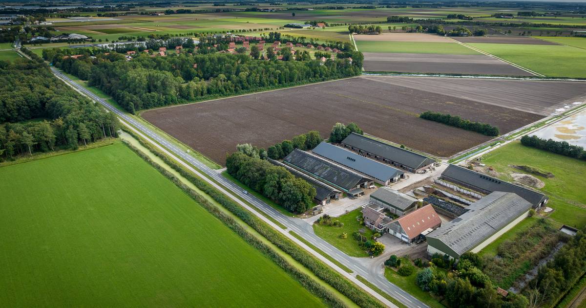 Kuinre klaagt meer over azc Luttelgeest dan de polder zelf: ‘Wij hebben ...