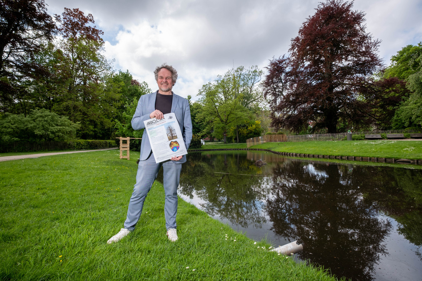 Stad zet zaag in monumentale rode beuk van Kruidtuin: “Maken hem 30 à ...