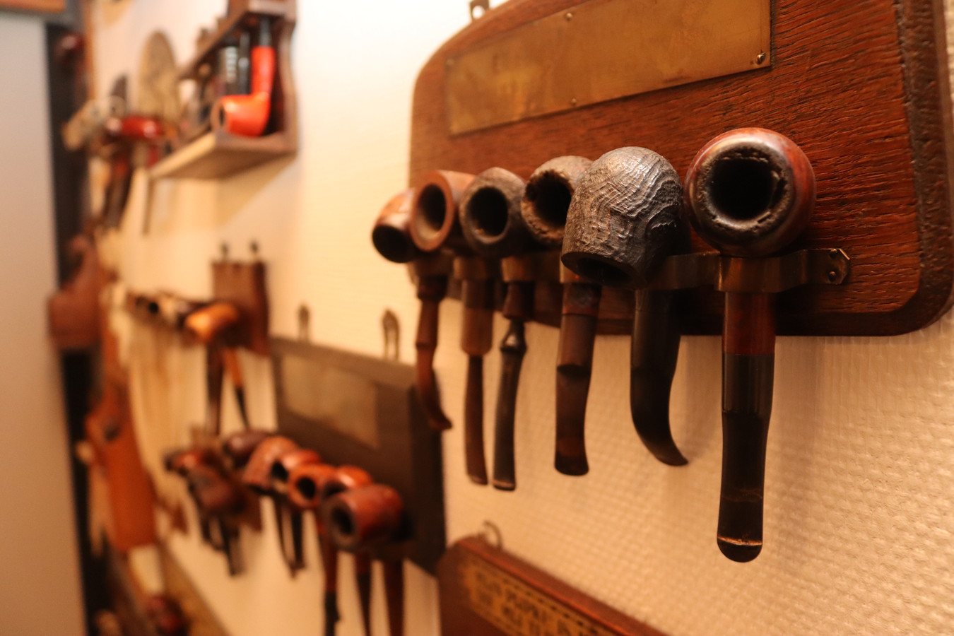 Grootste sigaar ter wereld wordt nóg groter: “Nieuw tabaksblad maakt ...