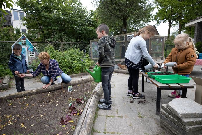 Er stroomt groen bloed door de aders van basisschool De Zevensprong ...