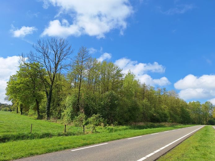 Azc-plan voor Dinkelland niet in beton gegoten, (kleine) aanpassingen ...