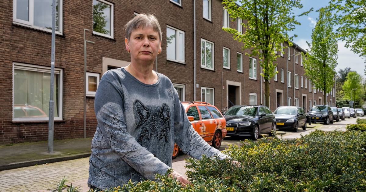 Zayaz belooft beterschap aan huurders Boschveld, maar bij Lies de ...