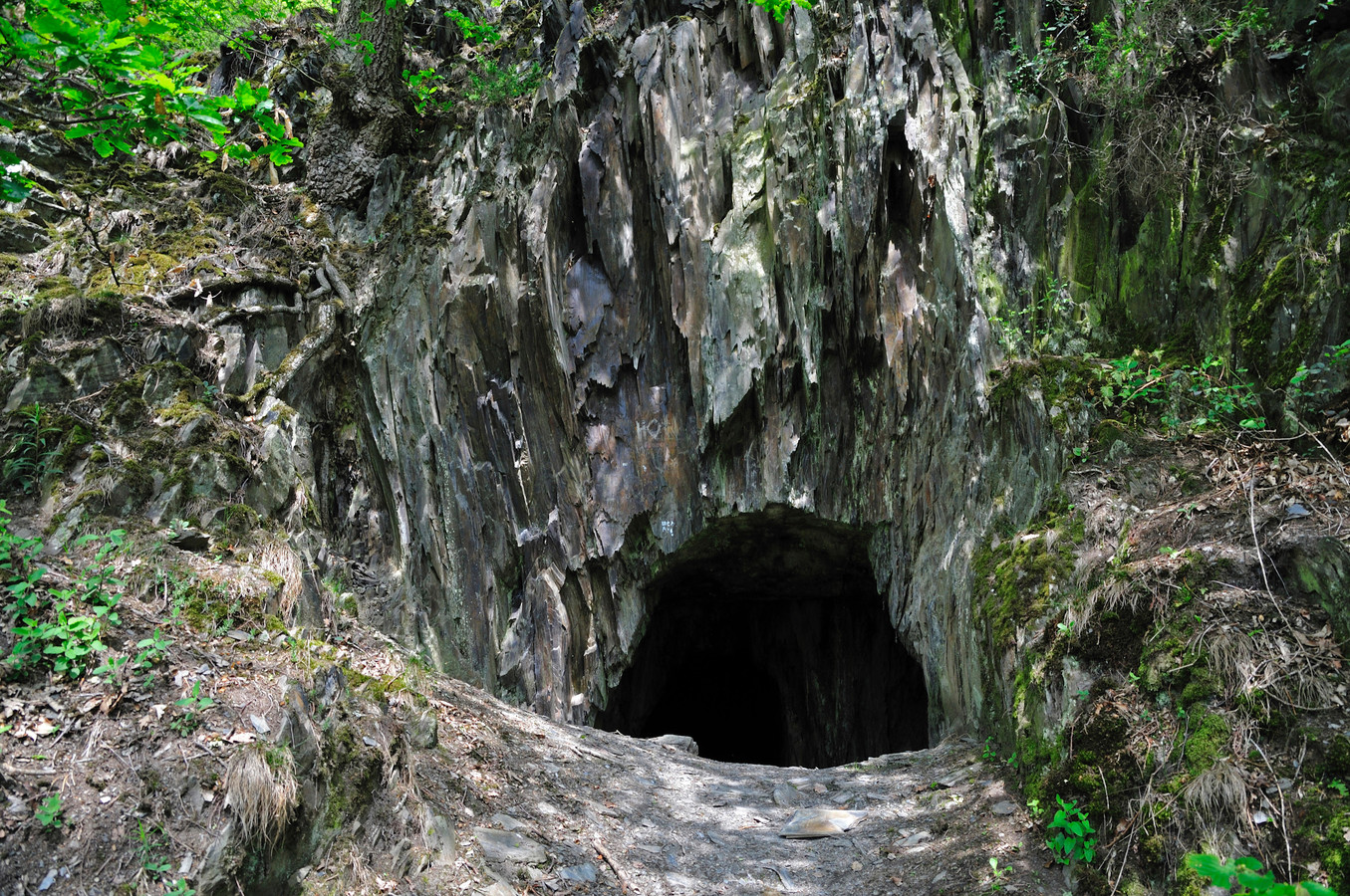 Limburgs gezin verschanst zich in zelfgemaakt café diep in verboden ...