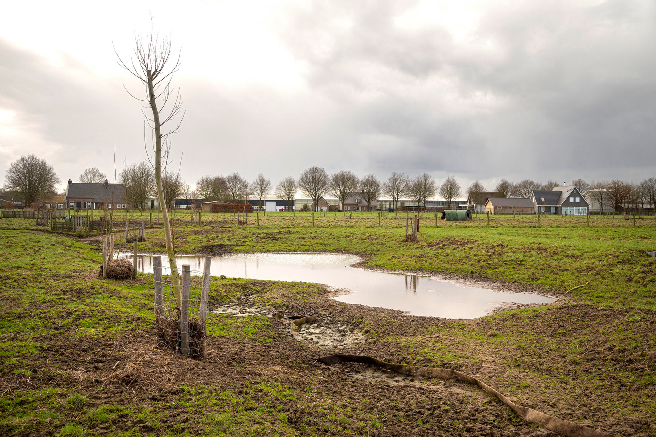 Drie jaar herenboeren Op ’t Lies heeft resultaat: ‘Verbluffend hoe snel ... Drie jaar herenboeren Op ’t Lies heeft resultaat: ‘Verbluffend hoe snel ...