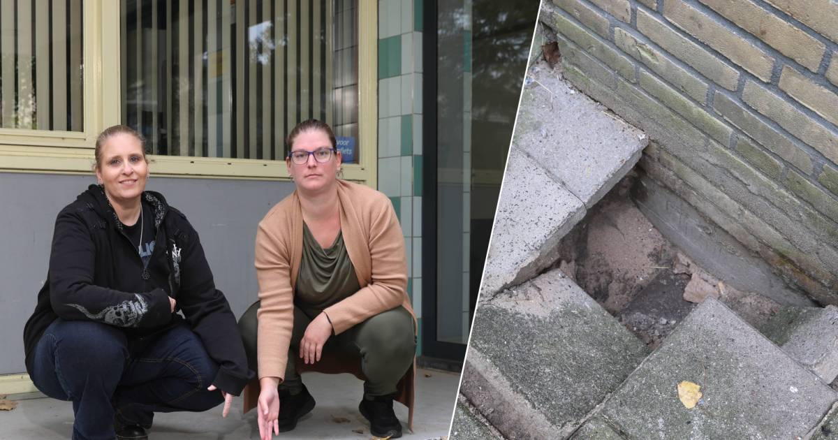 Al jaren stank in flat: ‘Buurvrouw bleef poetsen en dacht dat er een ...