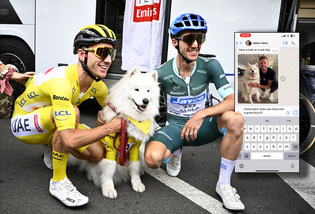 Yates-tweeling jaagt elkaar op de kast via Whatsapp: ‘Kom maar terug ...