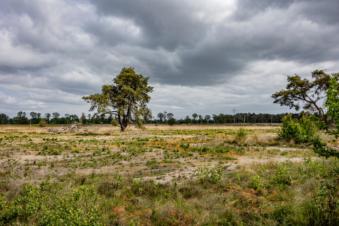 Farmers Defence Force komt op voor natuur in Boetelerveld en wil dat ...