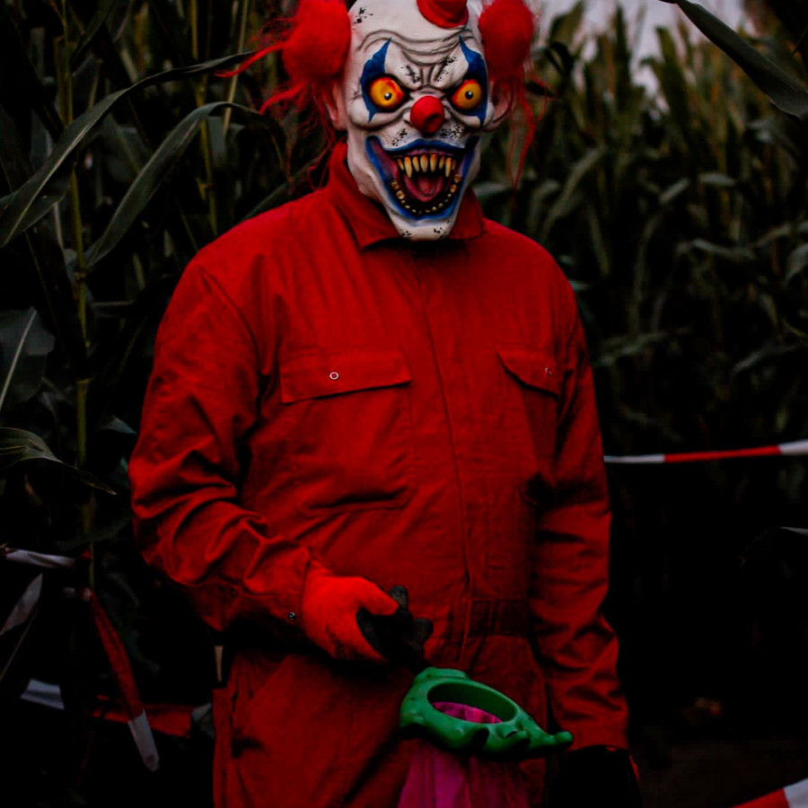 Griezels verstoppen zich in maïsdoolhof in Oostvoorne: ‘Normaal doolhof ...