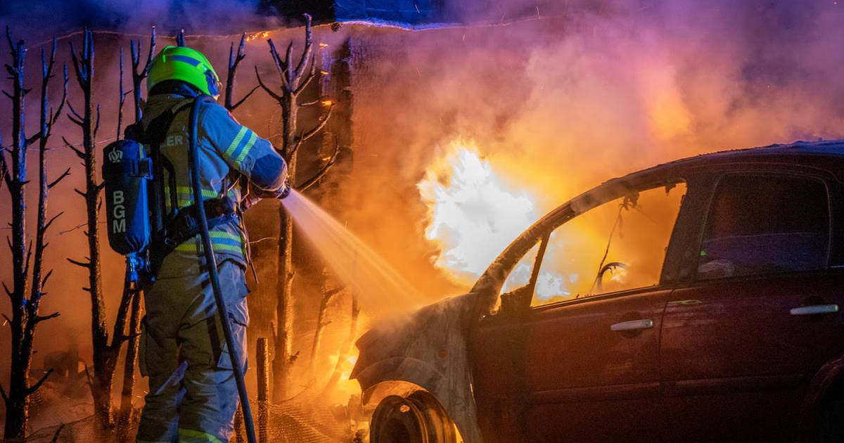 Bewoner komt rond middernacht thuis, paar uur later staat ‘zijn tuin ...