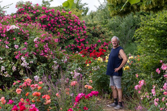 Rozentuin van Luc hoort bij allermooiste van Europa en is nu gratis te ...