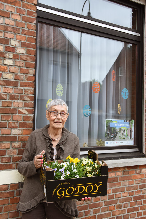 Zandstraat in Balen wordt een echte tuinstraat | Foto | hln.be