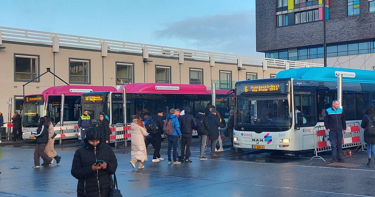 Staking ov: wat later op stage, werk of studie in Nijmegen, maar het ...