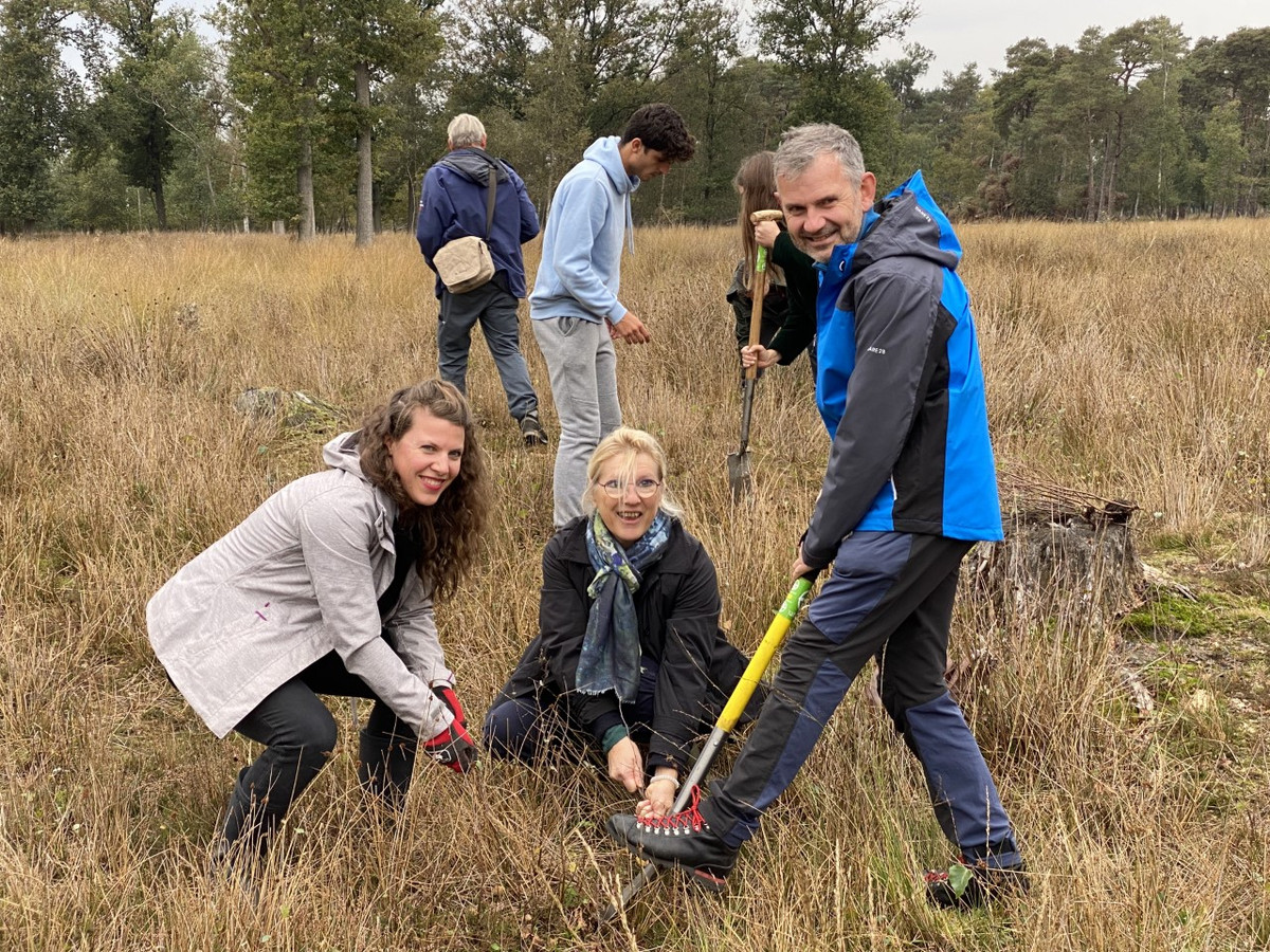 Natuurpunt herstelt Turnhouts Vennengebied tot moeras: “Minder ...