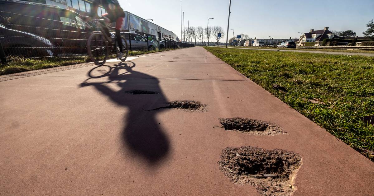‘Super Mario’ vindt nieuwe hindernisbaan in het Westland, met dank aan ...