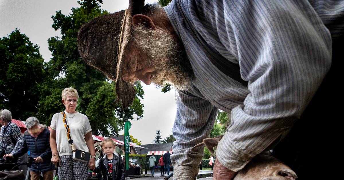 Oud boerenleven wordt zichtbaar op de Boeremèrt | Helmond | AD.nl