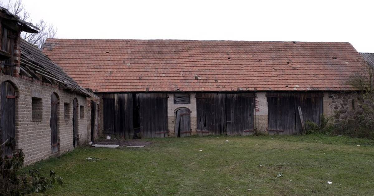 'Poolse moeder doodde vijf kinderen' | Buitenland | AD.nl