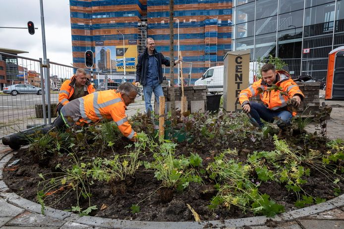 3500 tegels maken plaats voor planten aan het Marconiplein | Eindhoven ...