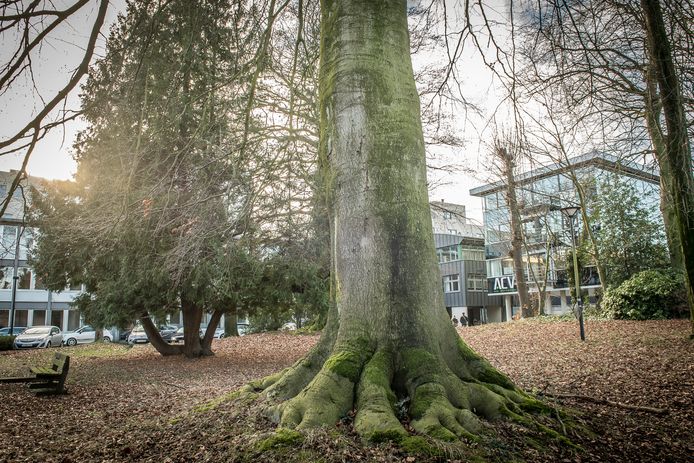 ACV stuurt bouwplannen bij na protest: “Nu hebben alle Roeselarenaars ...