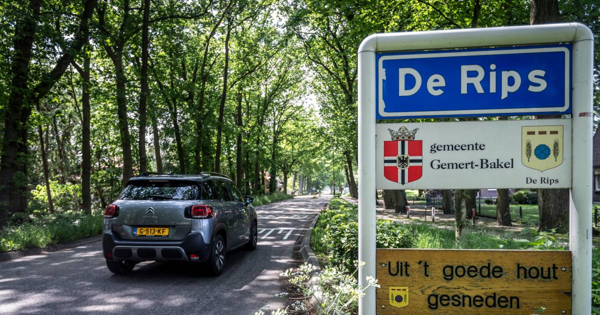 ‘De Rips loopt leeg, want er wordt niks gebouwd: doe iets gemeente ...