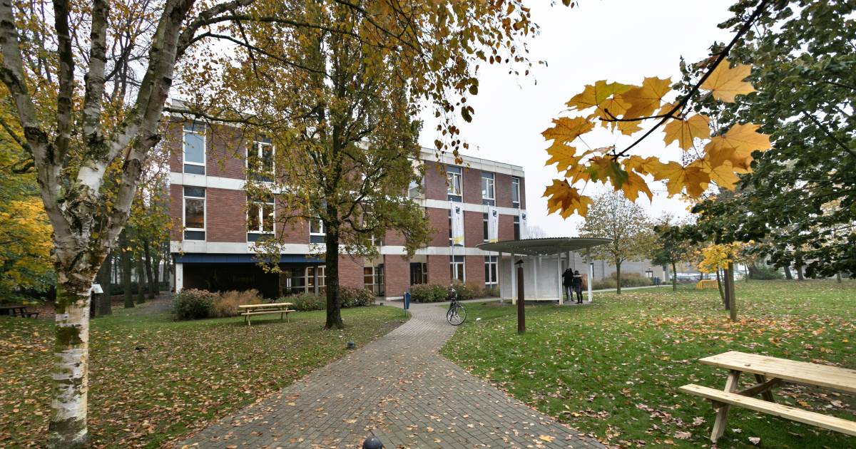 De Kempel in Helmond wéér beste pabo, Eindhoven op nummer twee ...