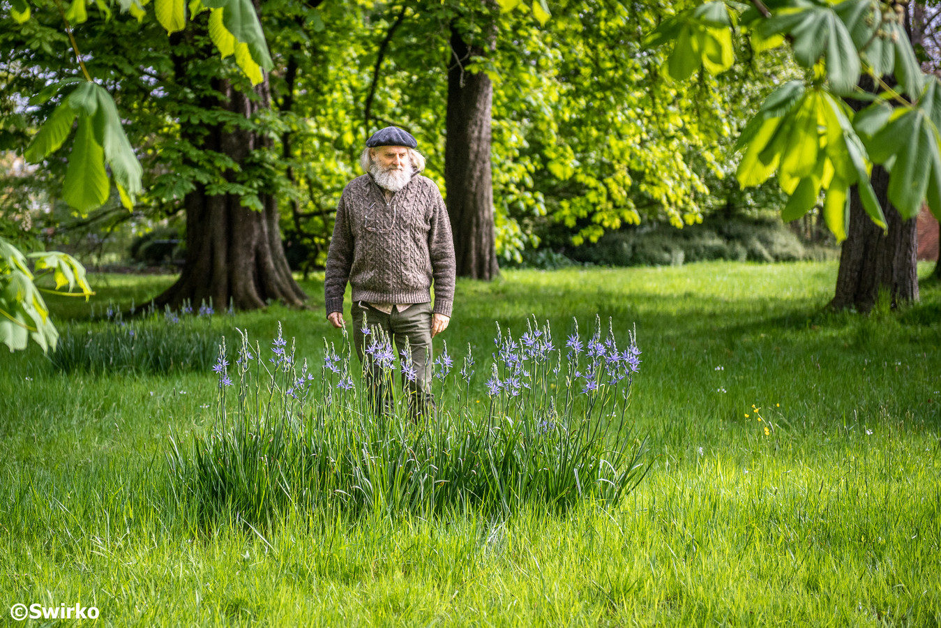 Zo haal je het meeste uit een wandeling door het stadspark: natuurgids ...